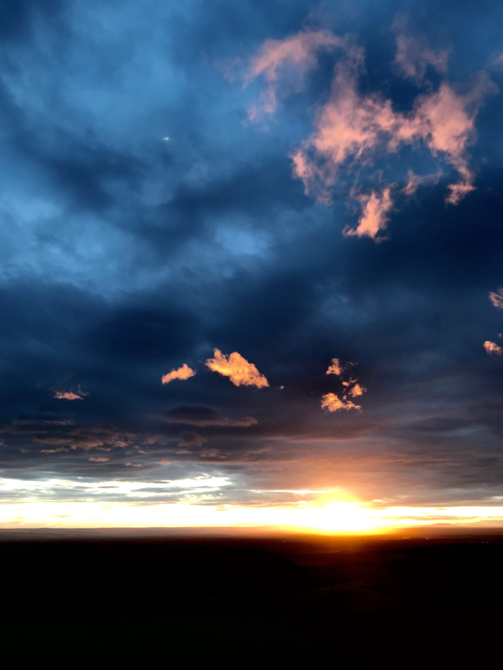 The Arctic is in Crisis - Arctic Ice Project