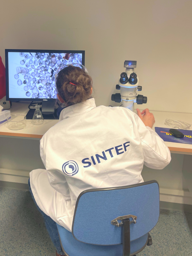 Research at SINTEF, Status Report July 6, 2022 - Arctic Ice Project